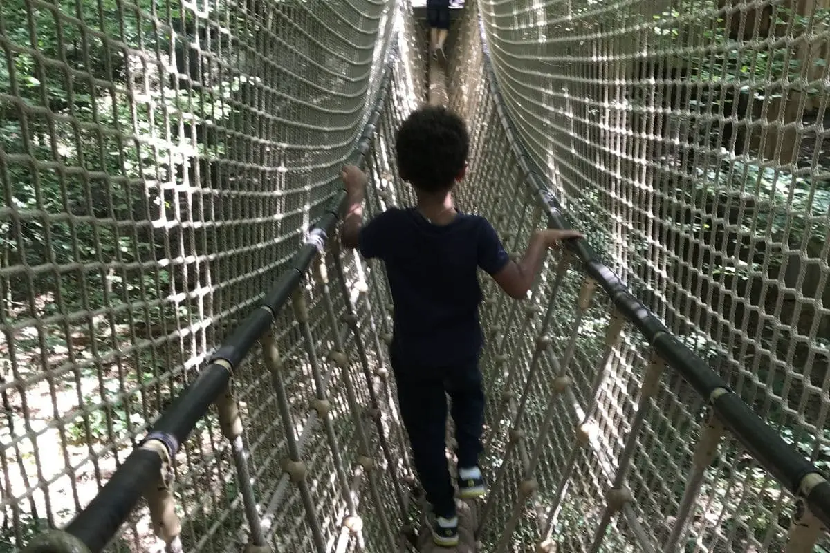 Le Parc animalier de Sainte-Croix : 5 raisons de le visiter en famille Le Parc animalier de Sainte-Croix : 5 raisons de le visiter en famille
